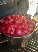 Cipolla's Pride Tomato | Fiat Homestead